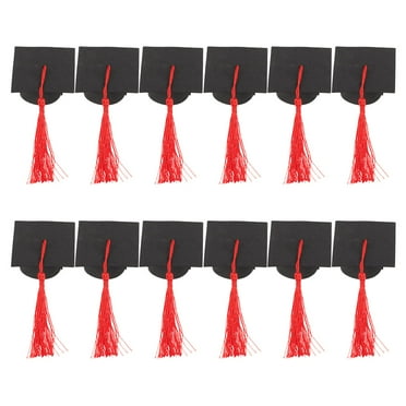 Graduation Cap Decorations 10 Pack Mini Graduation Caps Blake Bottle ...