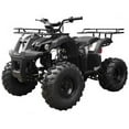 Tao Tao T Force 125 cc ATV Reverse and Big 19 18 Tires Utility Model ...