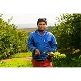 Felco High Performance Outdoor Large Cutting Tool - Handheld Garden ...