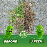 Green Gobbler Vinegar Based Weed & Grass Killer, 1 gallon - Walmart.com