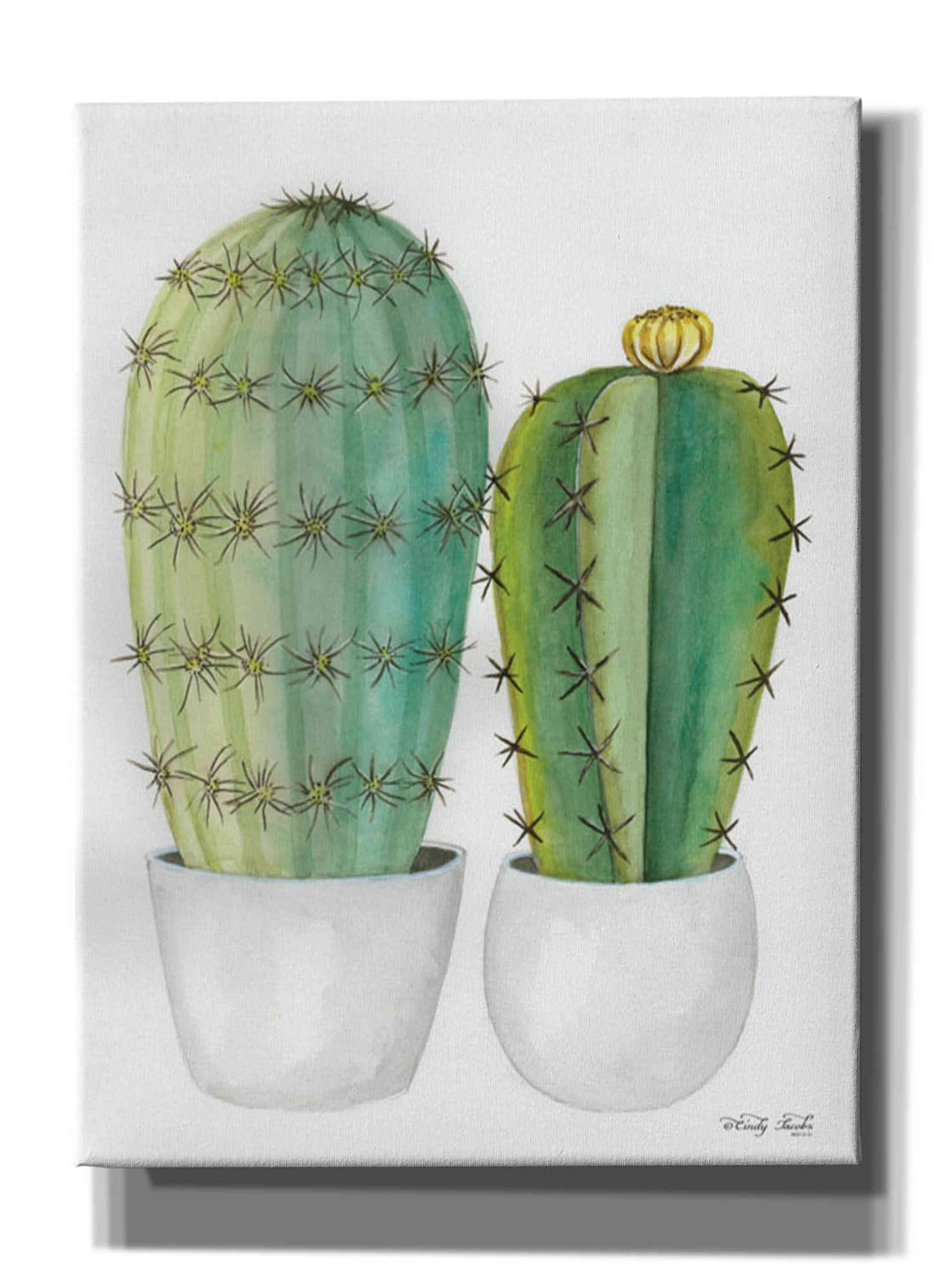 Epic Graffiti 'Cactus Love' by Cindy Jacobs, Canvas Wall Art, 40"x54 ...
