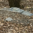 Havahart Easy Set Small 1-Door Animal Trap - Walmart.com