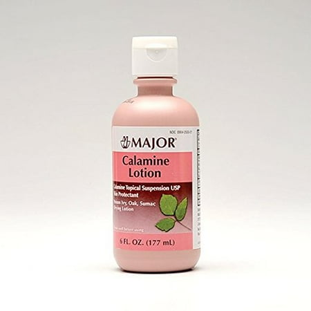 UPC 632964196101 - Calamine Lotion (CALAMINE LOT 6 oz) 1 Each / Bottle ...