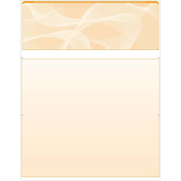 500 BLANK COMPUTER CHECKS ON TOP - SECURITY FEATURES INCLUDED ...