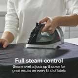 Hamilton Beach Nonstick Automatic Shut-off Steam Iron with Retractable ...