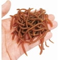 1.6in/3.3/3.9in Fishing Soft Lure Trout Worm Earthworm Bait Lifelike ...