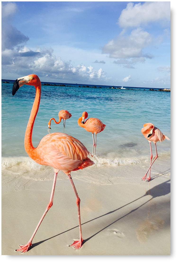 Awkward Styles Seacape Poster Artwork Flamingo Room Wall Decor Flamingo ...