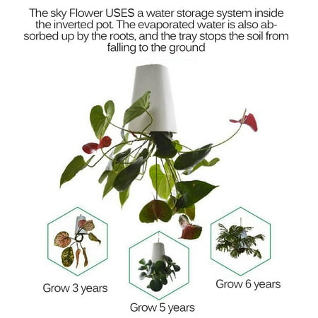 Houkiper Inverted Sky Garden Hanging Pot Upside Down Planter, Inverted ...