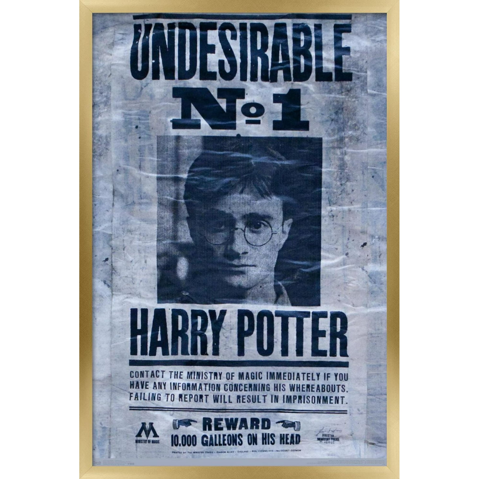 Click here for Trends International The Wizarding World: Harry Po... prices