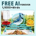 Bird Feeder with Camera- Free AI Forever for 1,1000+ Species ...