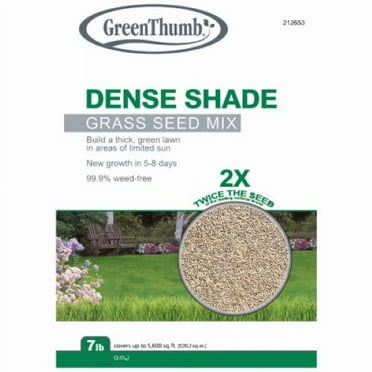 Southland Sod 4 Marathon II Dwarf Tall Fescue Lawn Grass Seed Mix, 5 ...