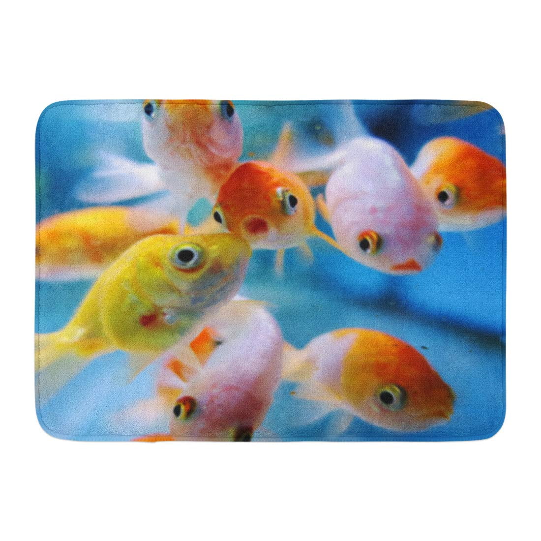 GODPOK Freshwater Fish Goldfish Cluster Around The Glass in Aquarium ...