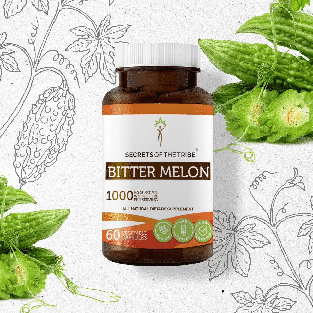 Secrets of the Tribe Bitter Melon 60 Capsules, Wildcrafted , May help ...