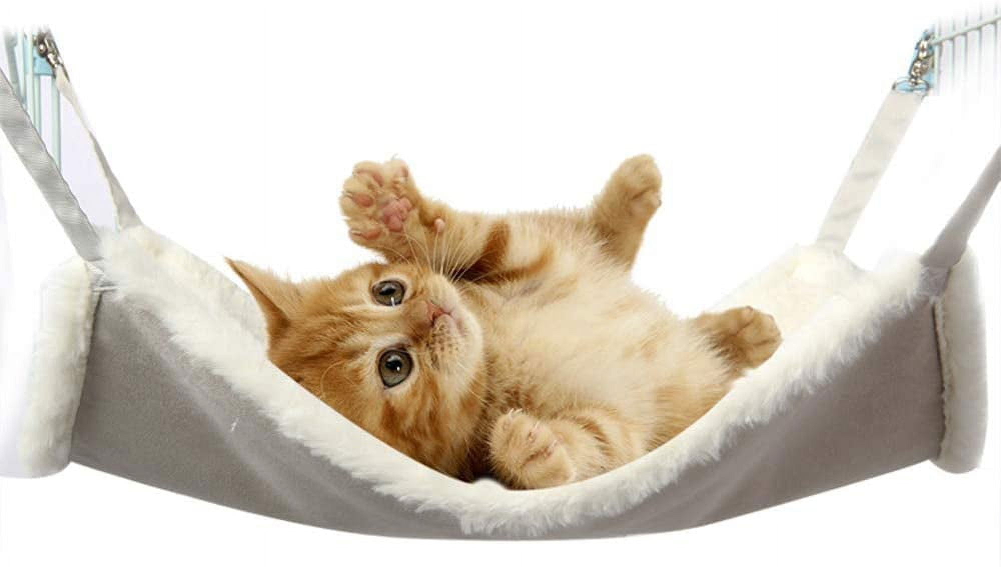 Hamaca Cómoda cubierta delantera y trasera Disponible Hamaca de gamuza ...