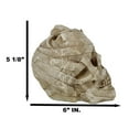 Tomb Of Egypt Mummy Sarcophagus Skull With Multicolor Glowing LED Light ...