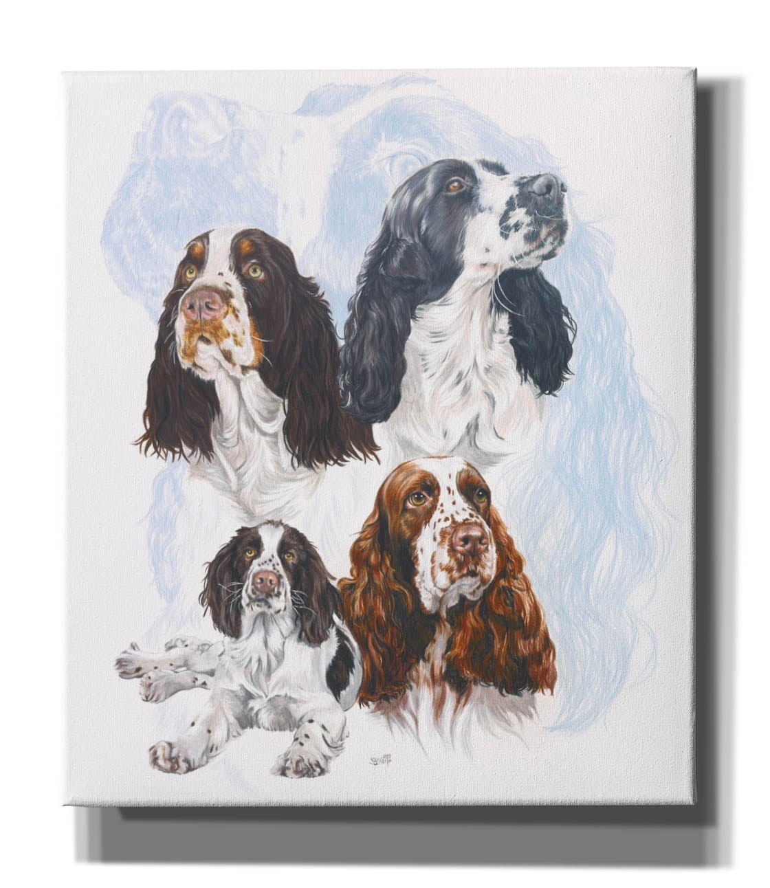 Epic Graffiti 'Springer Spaniel' by Barbara Keith, Canvas Wall Art, 26"x30" - Walmart.com