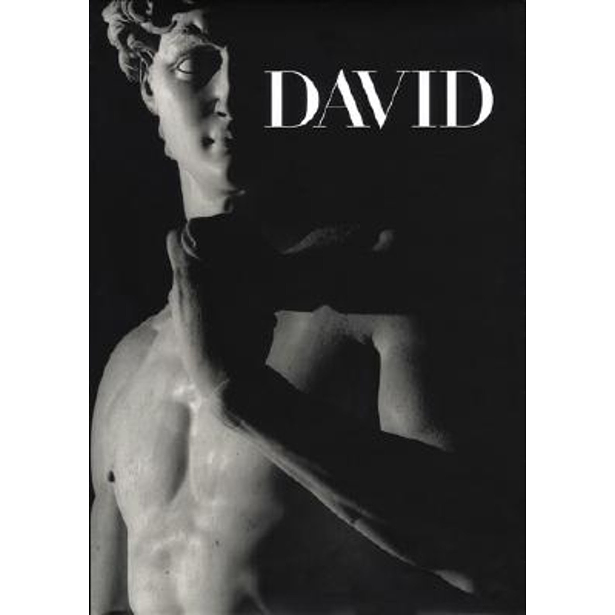 Michelangelo's David: From Symbol to Myth - Walmart.com