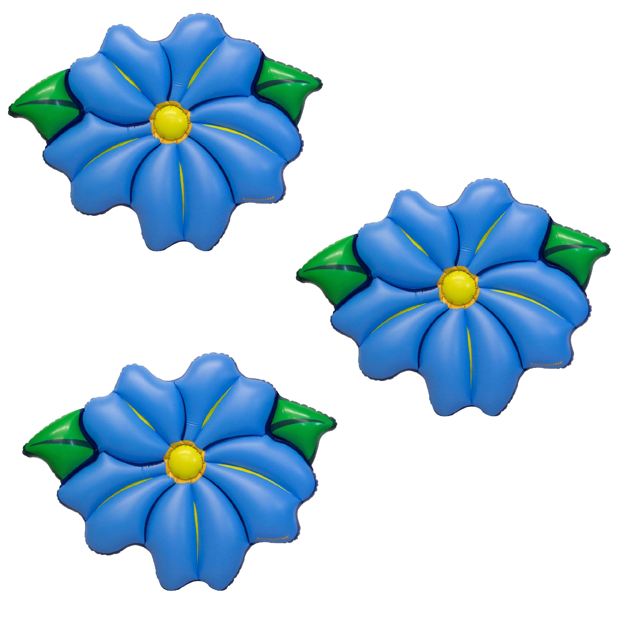 Blue Primrose You And Me
