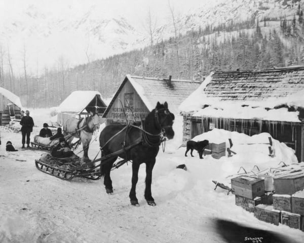 Print: Horses Pulling Sleds On The Valdez Trail, circa 1900 - Walmart.com