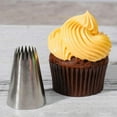 Cake Decorating Icing Piping Tip Set, 10 X-Large Decorating Tips ...