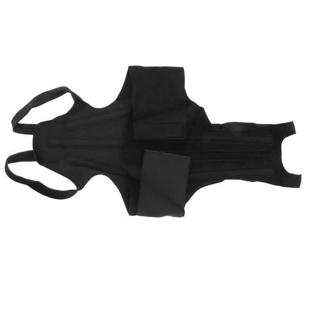 Dog Back Bracer For Spinal Surgery Recovery, Herniated Disc, Arthritis ...