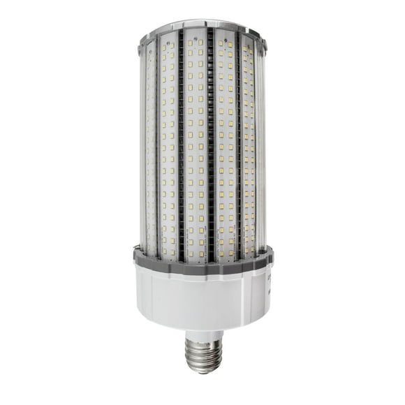 200W Bulbs