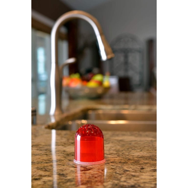 Fruit Fly Trap Walmart