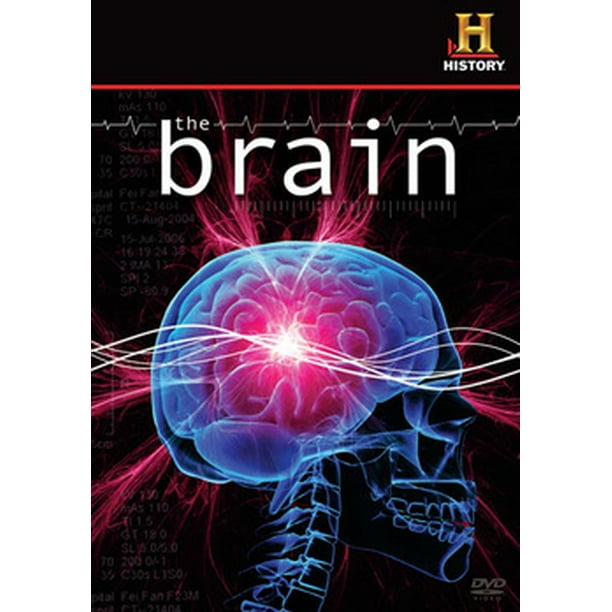 The Brain (DVD) - Walmart.com - Walmart.com