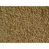 Joseph's Grainery, Whole Grain Barley, 12 lbs, Unhulled Hull-Intact ...