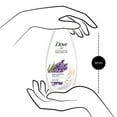 Dove Relaxing Ritual Body Wash with Lavender Oil & Rosemary, 16.9 Fl Oz ...