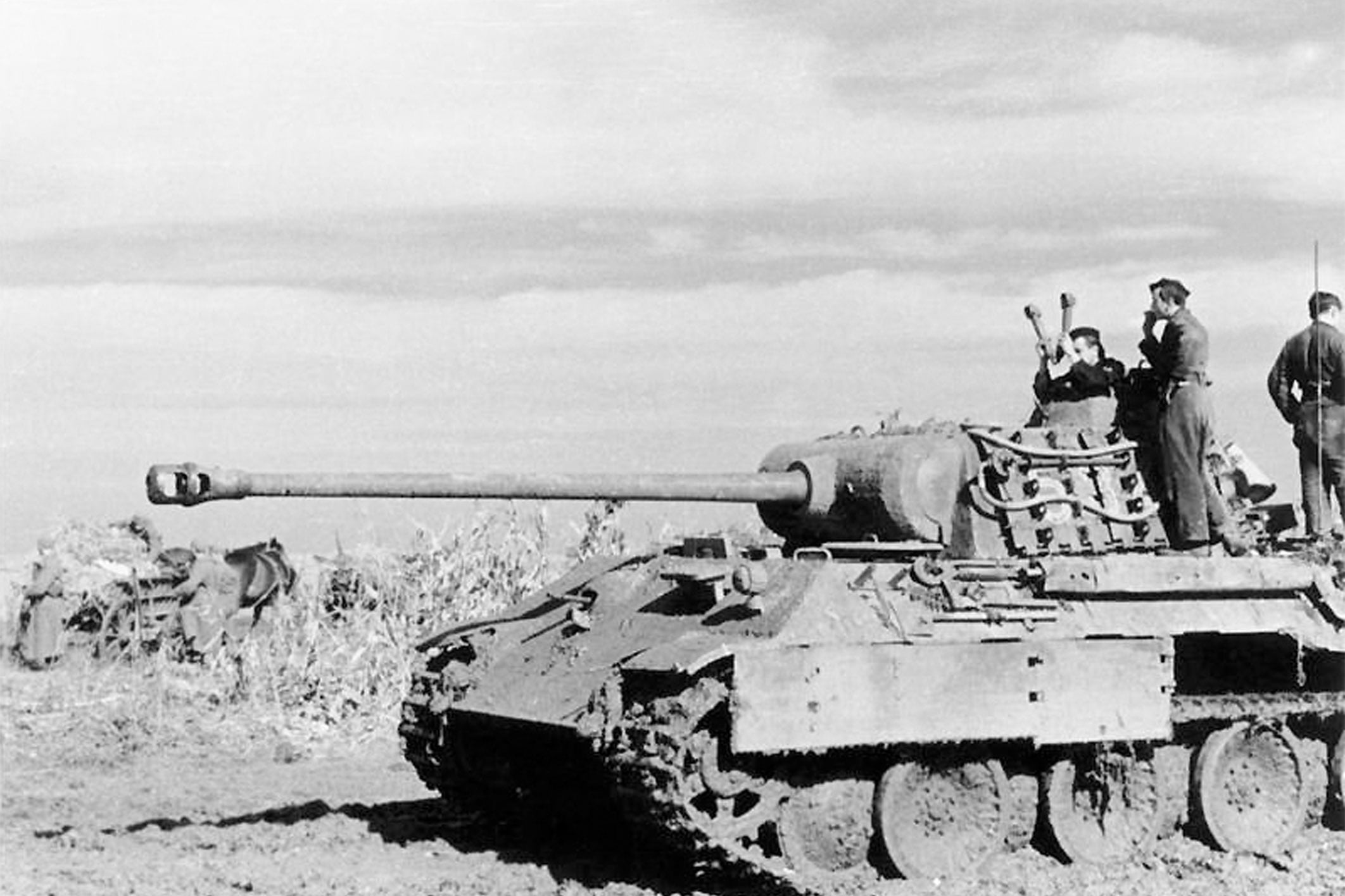 24x36 gallery poster, Panther tank on the Eastern Front 1944 - Walmart.com