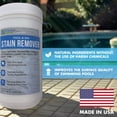 Essential Values Pool & Spa Stain Remover (2 LBS) - Natural Formula ...