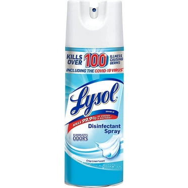 Lysol Small Disinfecting Mini Personal Aerosol Spray, Kills Germs ...