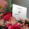 3drose, Image of Crazy for Martinis with Clear Martini and Olive, 6 ...
