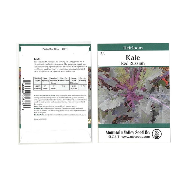 Red Russian Kale Garden Seeds - 2 Gram Packet - Non-GMO, Heirloom ...