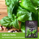 2 Packs Culinary Basil Seeds Mix - Non-GMO Heirloom Herb - Full Sun ...