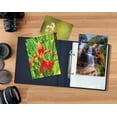 Better Office Products 2-Ring Hard Cover Photo Album, Holds 36 5x7 ...