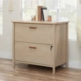 Sauder Office Whitaker Point Engineered Wood 2-Drawer Lateral File in ...