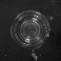 Common Eider / King Eider - Wound Of Body - Electronica - CD - Walmart.com