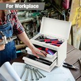 WORKPRO Mini Metal Tool Box with 2 Drawers and Top Storage, Small Tool ...