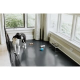 G-Floor 5' x 10' Polyvinyl Ceramic Pet Friendly Carpet Protector for ...