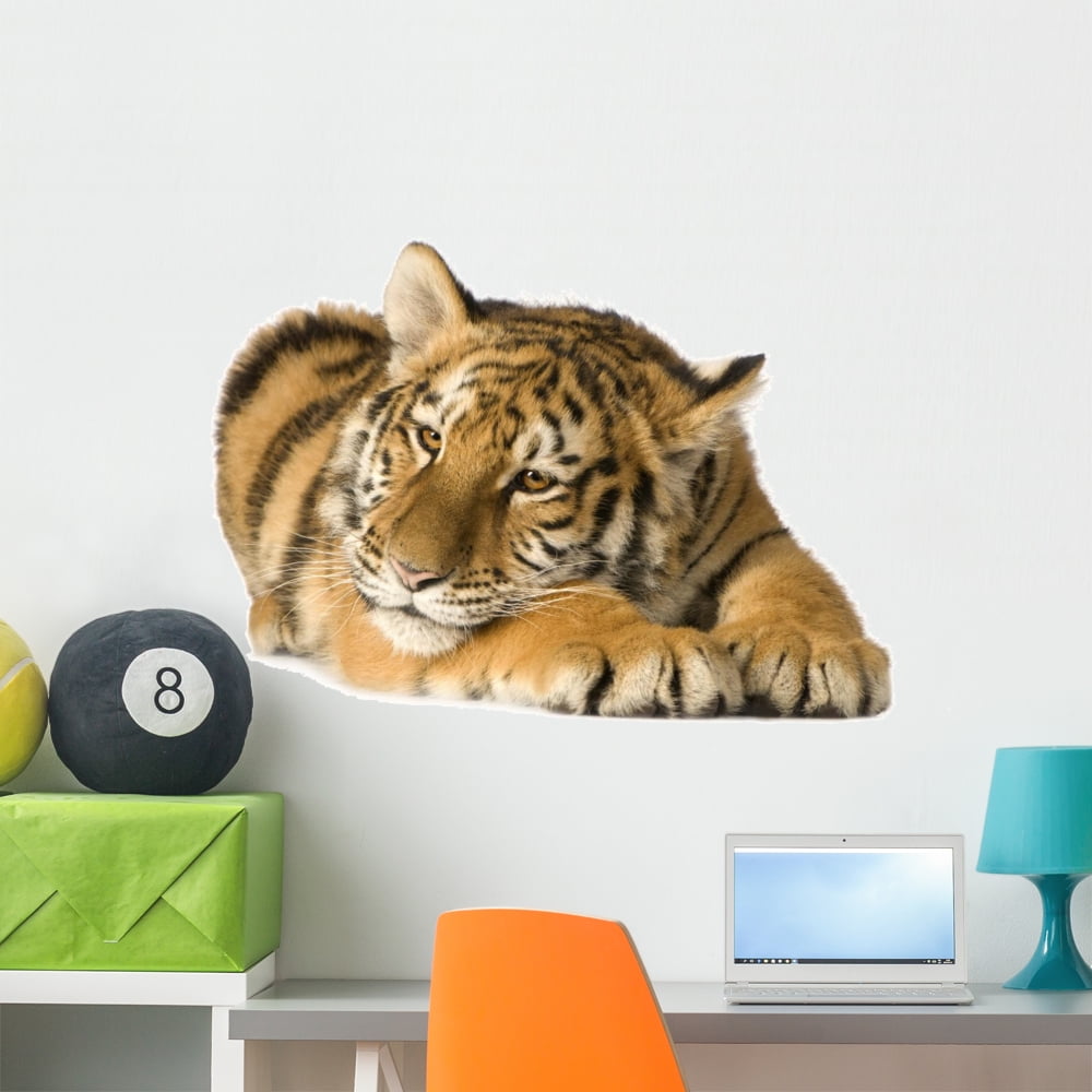 Tiger Cub 5 Months Wall Decal Sticker by Wallmonkeys Vinyl Peel and ...