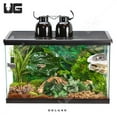 COMPLETE 10 Gallon Tree Frog Setup - Deluxe - With Tank - Walmart.com