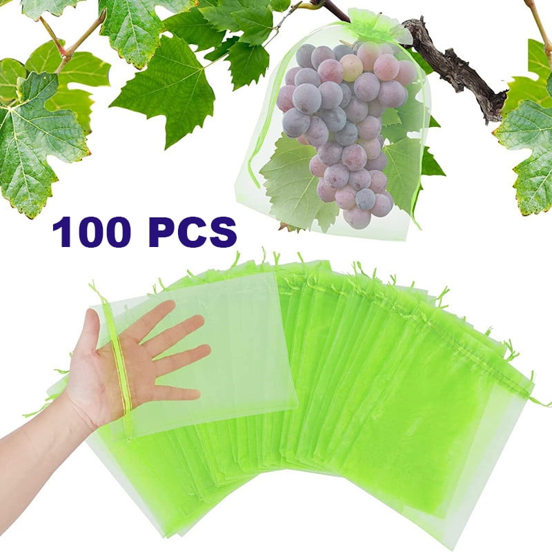 6" x 8" Fruit Protector Bags, 100 Pack Fruit Tree Fruit Bags, Garden ...