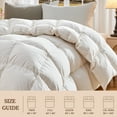 Goose Feather Down Comforter Queen Size, Soft 100% Organic Cotton ...