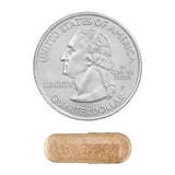 Spring Valley Cinnamon Dietary Supplement Vegetarian Capsules for ...