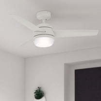 Hunter 48 inch Indoor Ceiling Fan with LED Light and Remote Control ...