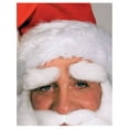 White Santa Eyebrows - Walmart.com