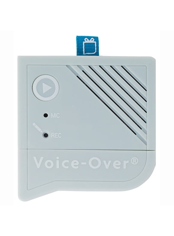 Voice Recorders in Portable Audio - Walmart.com
