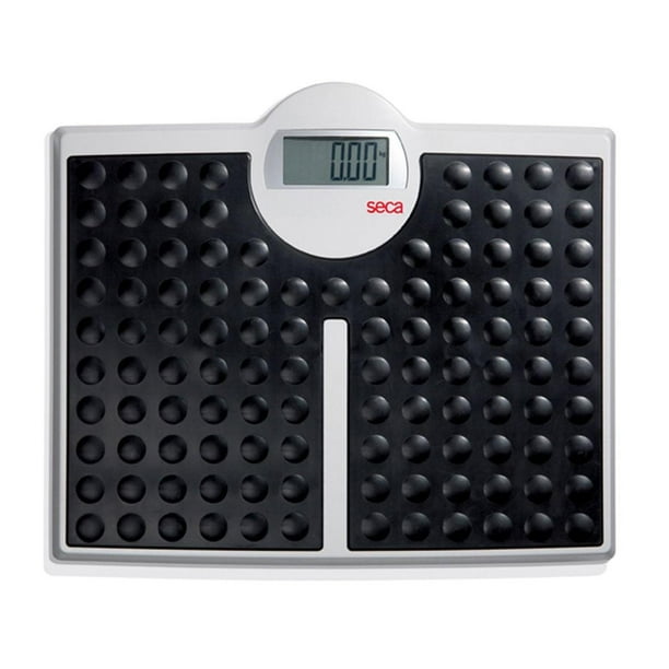 seca 813 High Capacity Digital Flat Scale for Individual Patient Use ...